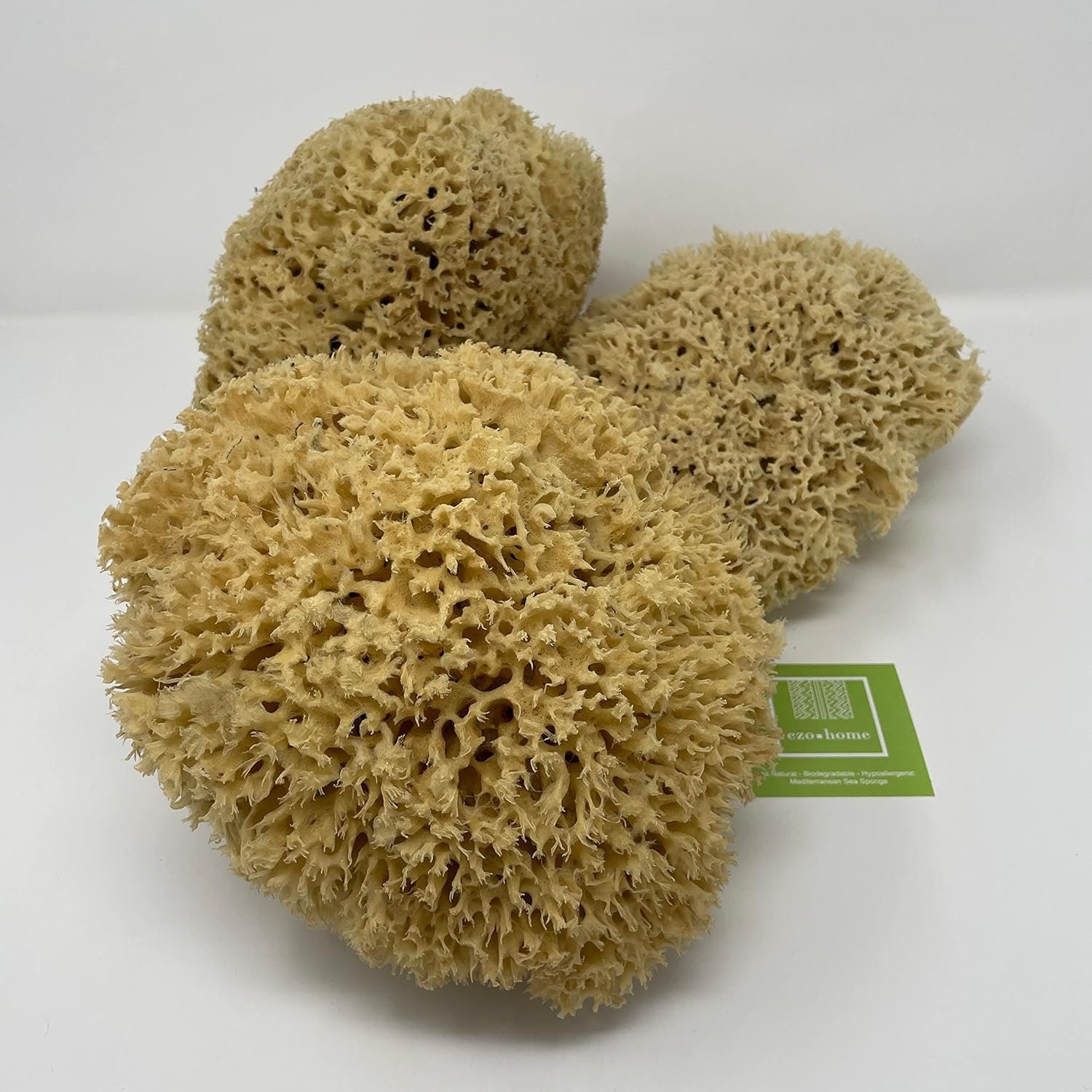 18-20CM Sea Sponges From the Ocean - Natural Sponge XXL (18-20cm) - Etsy