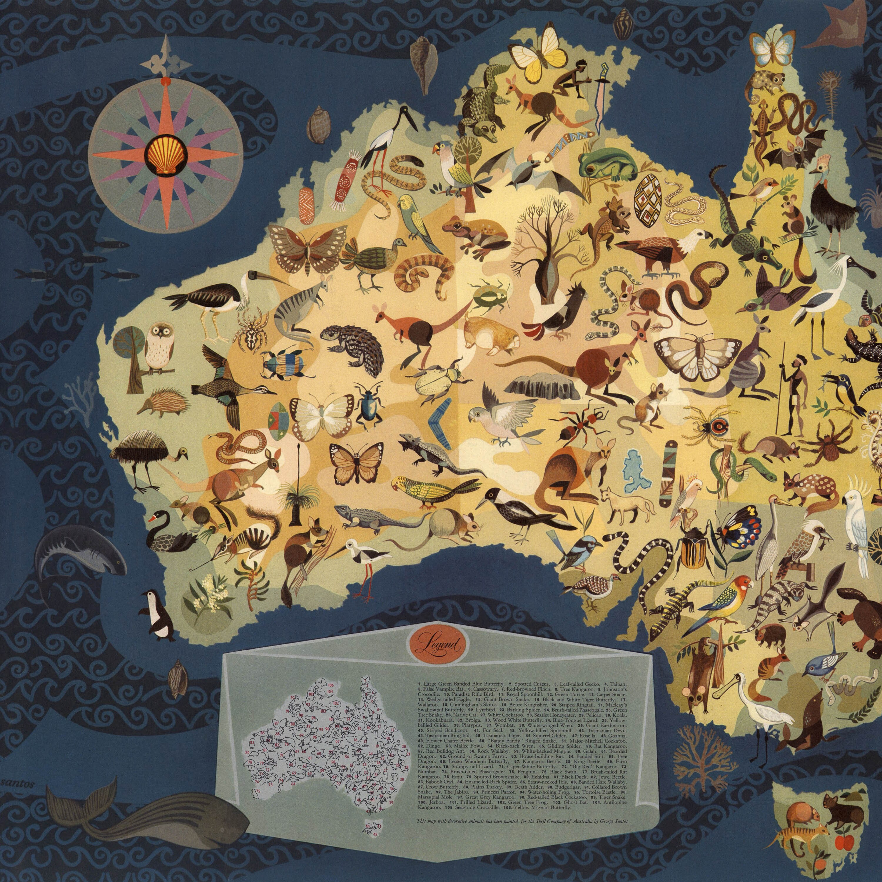 Animals of Australia Map Print for Wall Decor Australia Map | Etsy