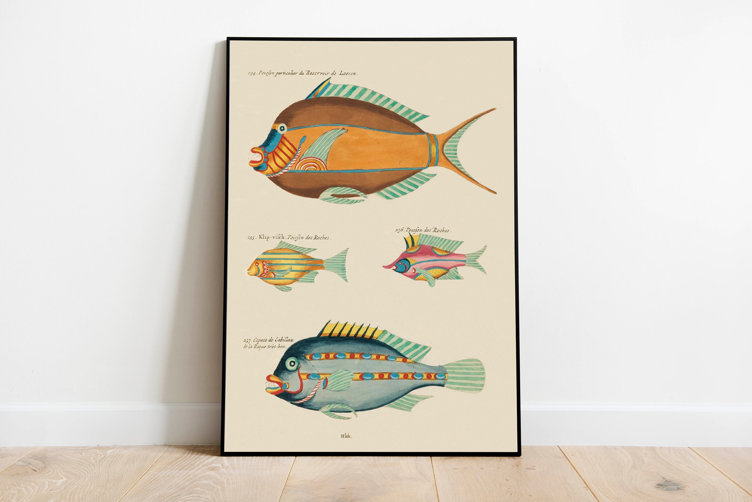 Fishes Poster Print Sea Life Art Animal Prints Wall Prints | Etsy