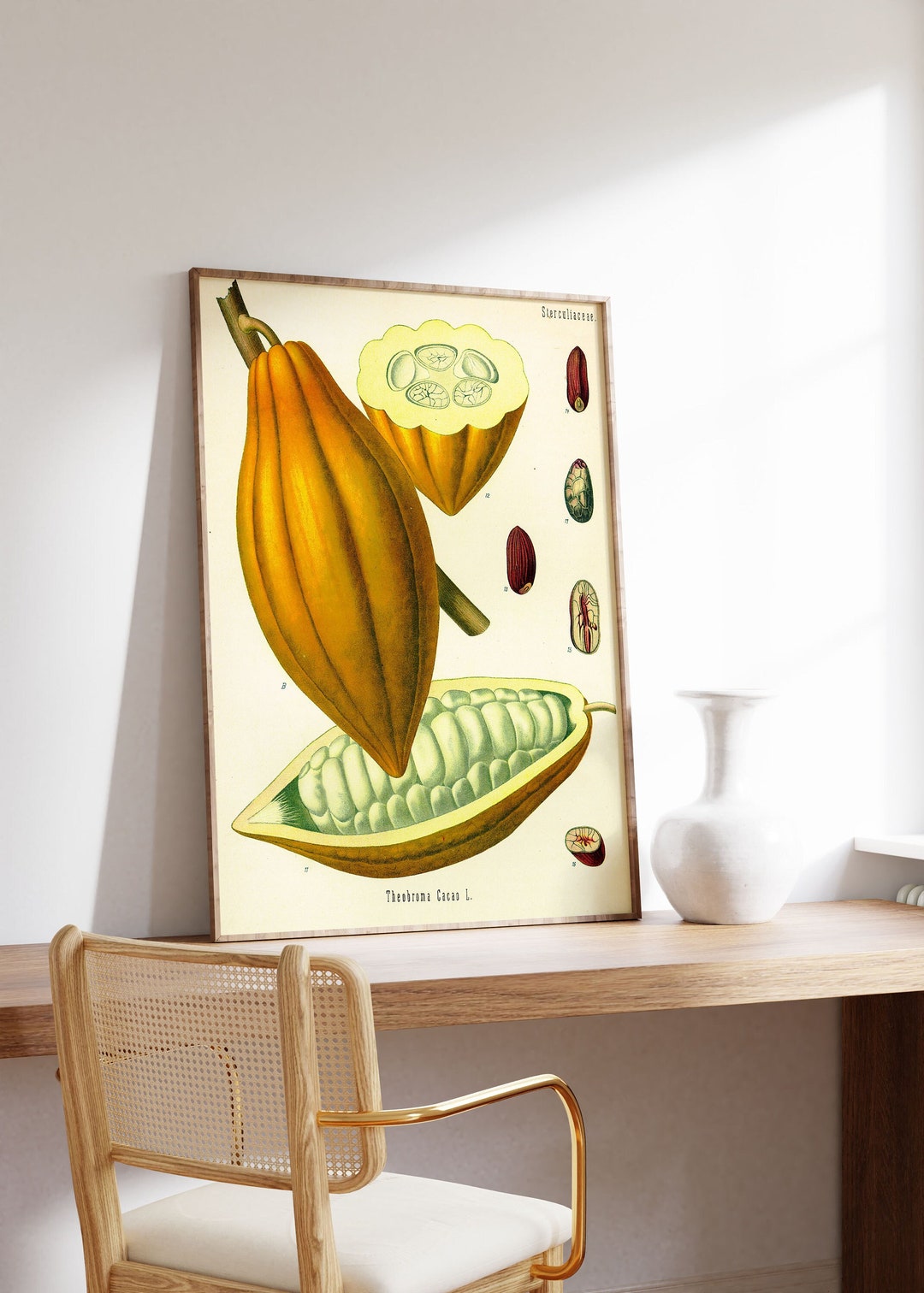 Cacao Wall Print| Botanical Wall Art| Art Canvas| Poster Vintage ...