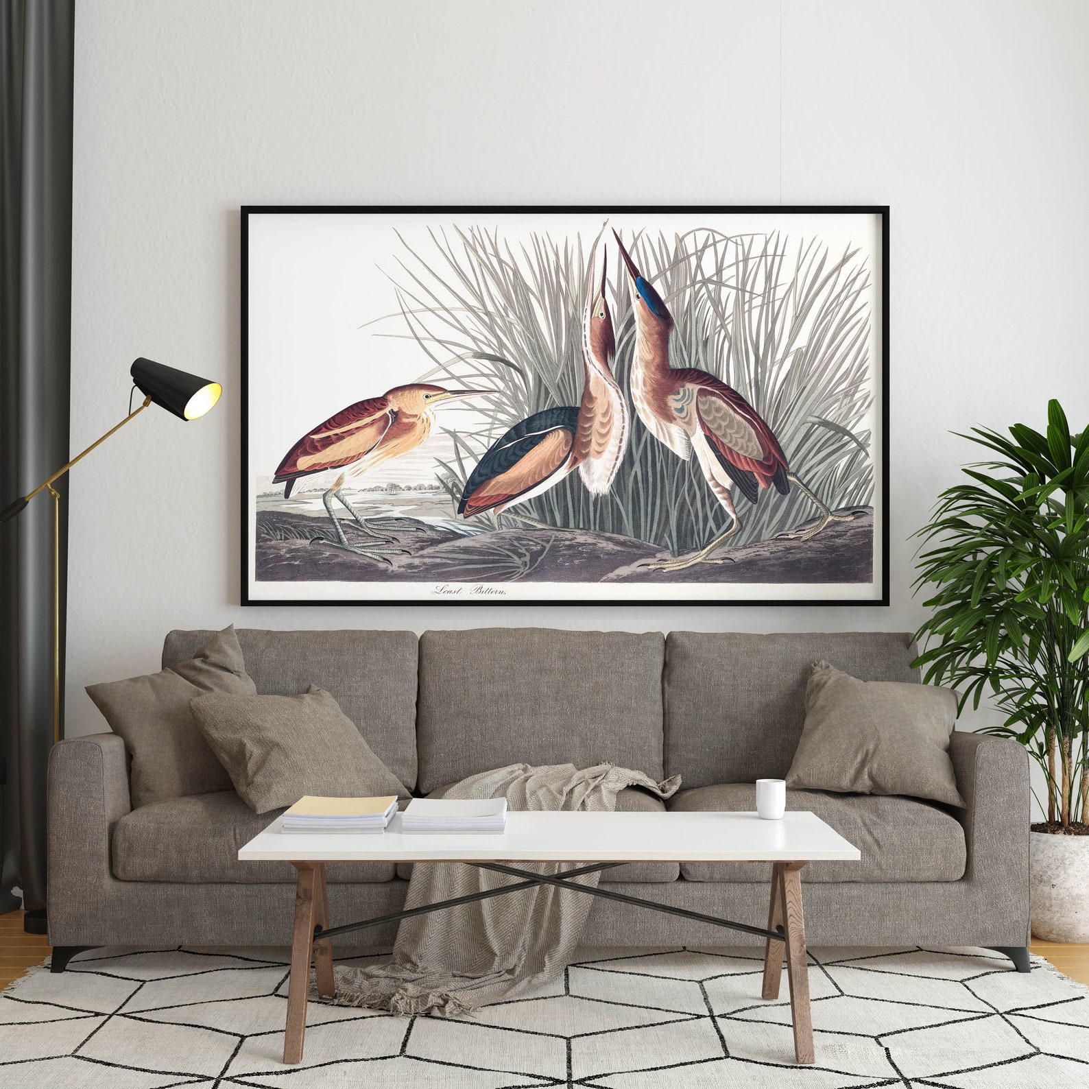 Vintage Bird Art Prints Bird Poster Framed Print Bird Art Art Canvas ...