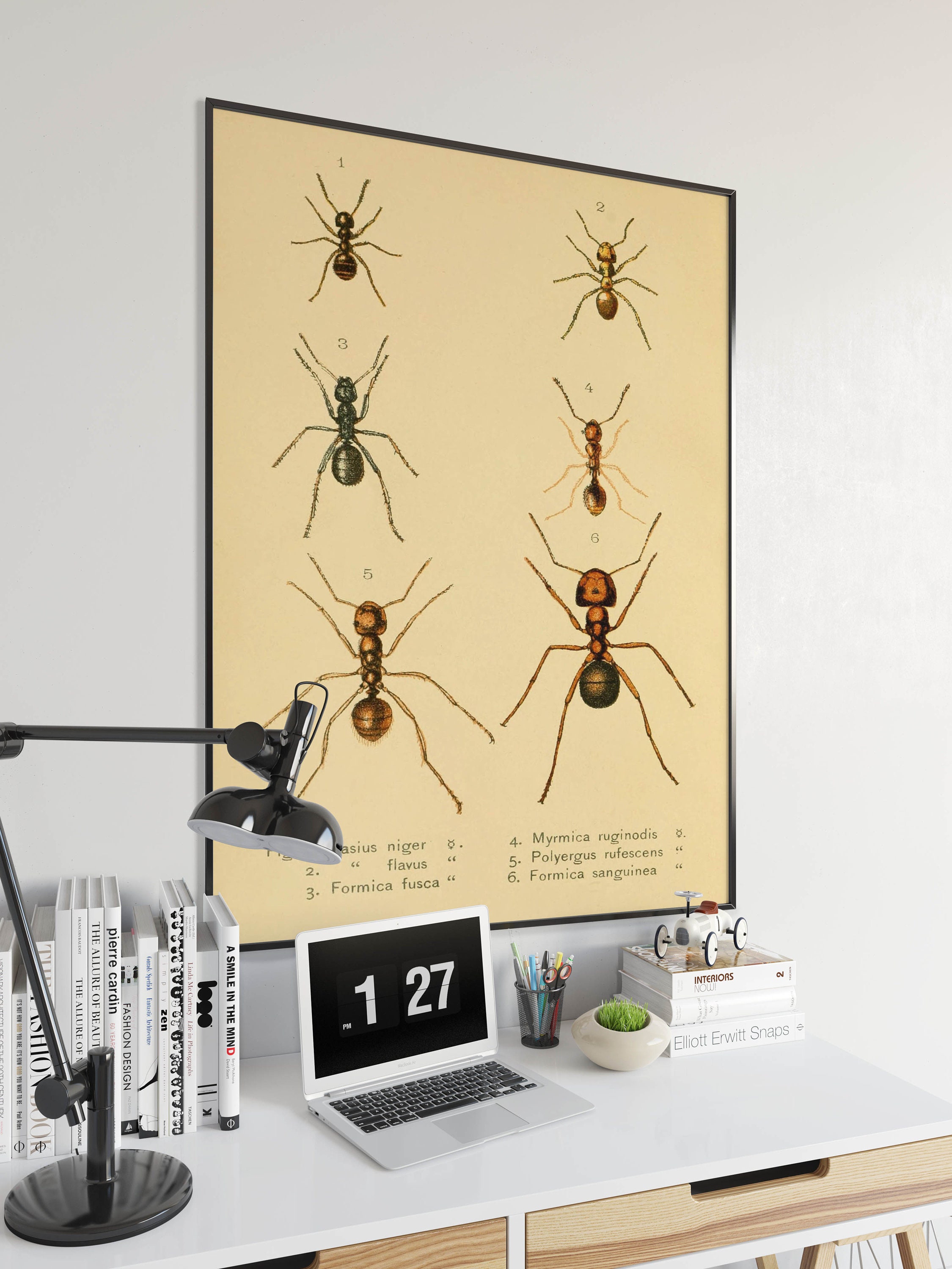 Ants Poster Print Vintage Science Print Animal Prints Wall | Etsy