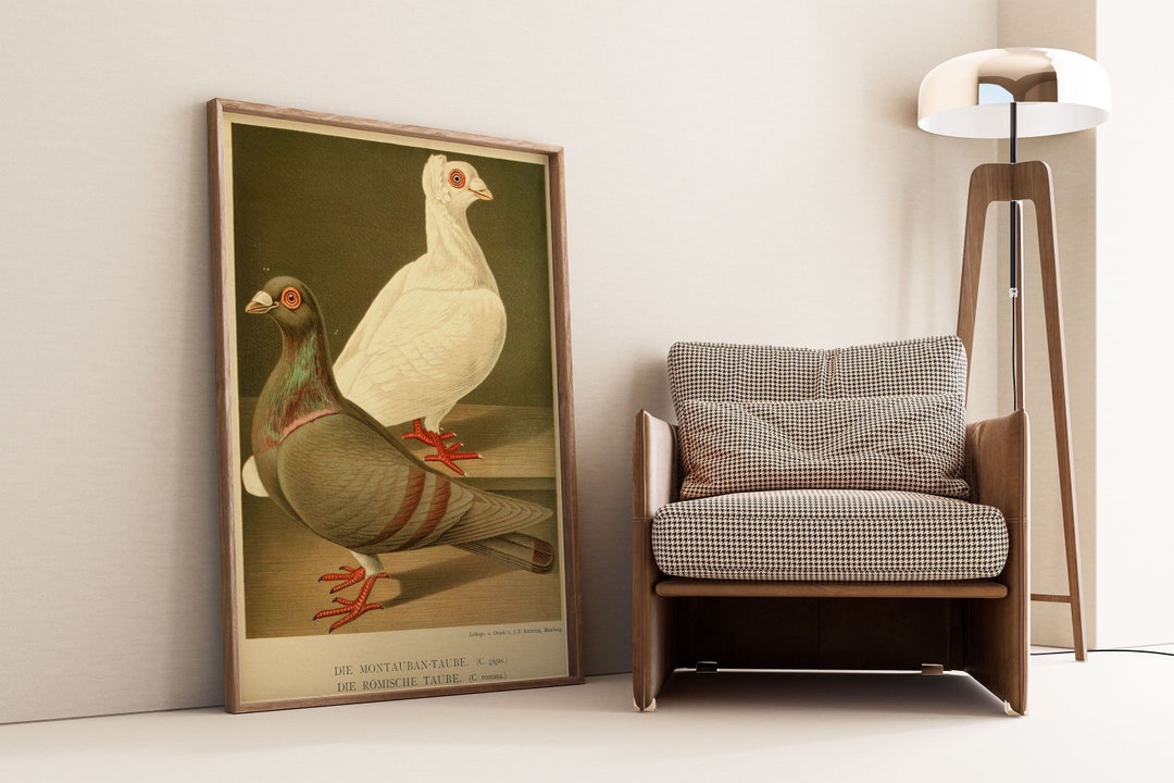 Pigeons Poster Print Birds Poster Animal Prints Wall - Etsy