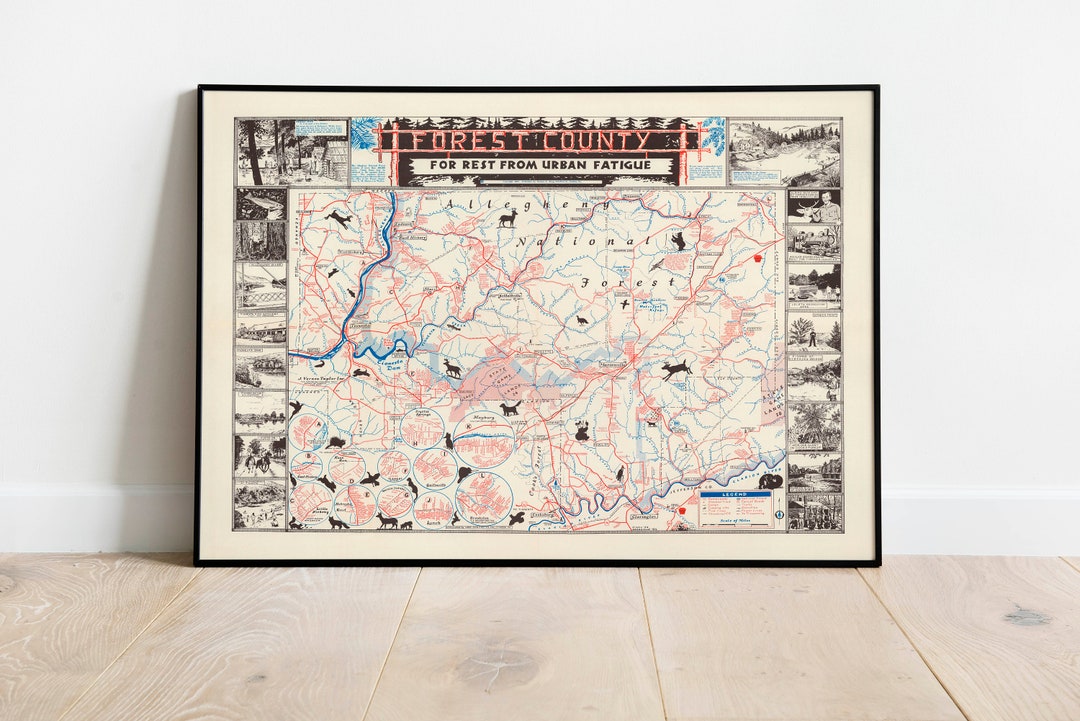 Map of Forest County Pennsylvania| Vintage Map Print| Falls Creek Wall ...