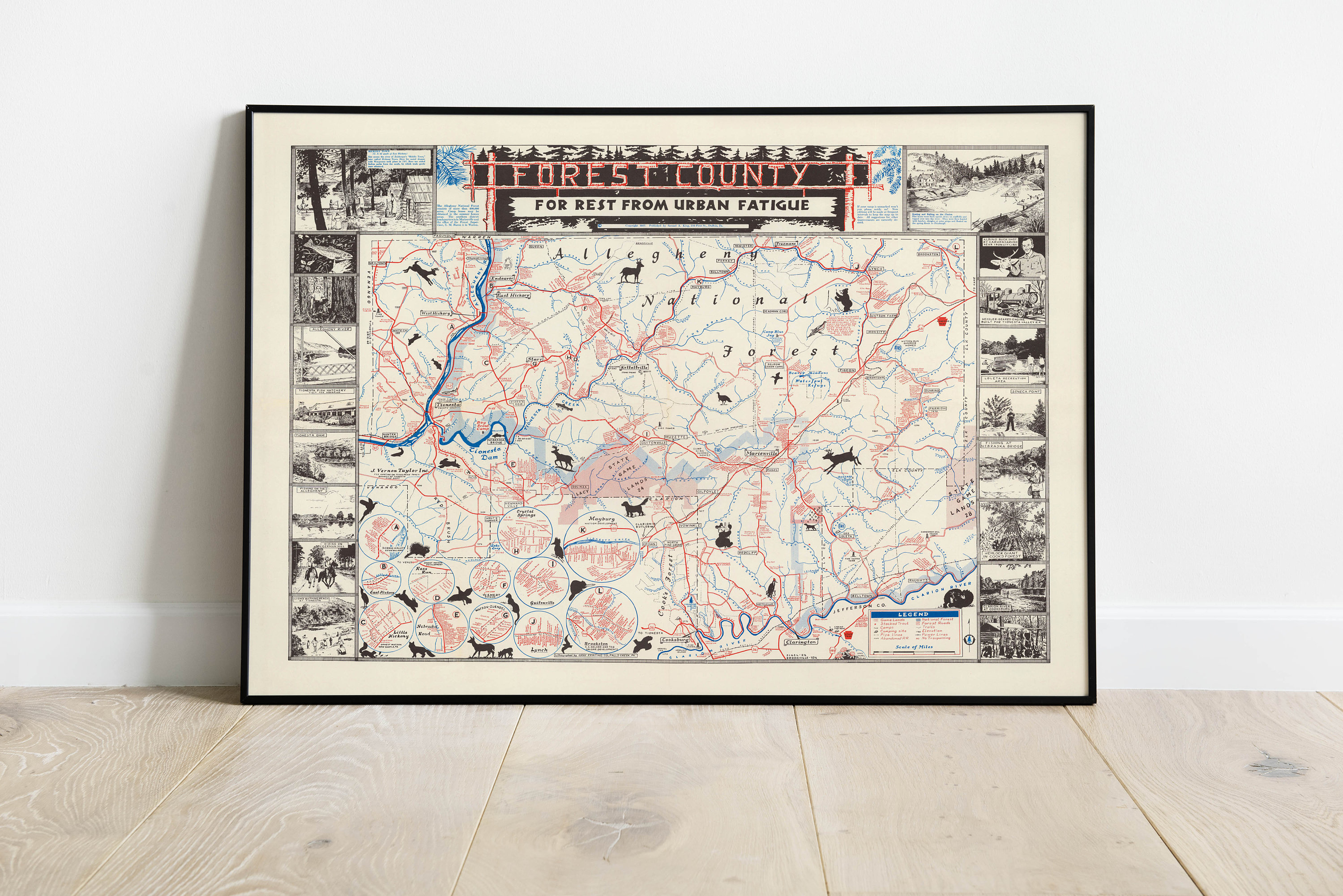 Map of Forest County Pennsylvania Vintage Map Print Falls | Etsy