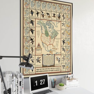 Map of the Diving Ducks Eiders and Mergansers of North America 1937 ...