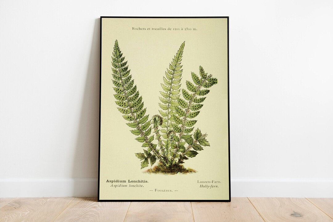 Fern Wall Print| Botanical Wall Art| Art Canvas| Poster Vintage| Flower ...