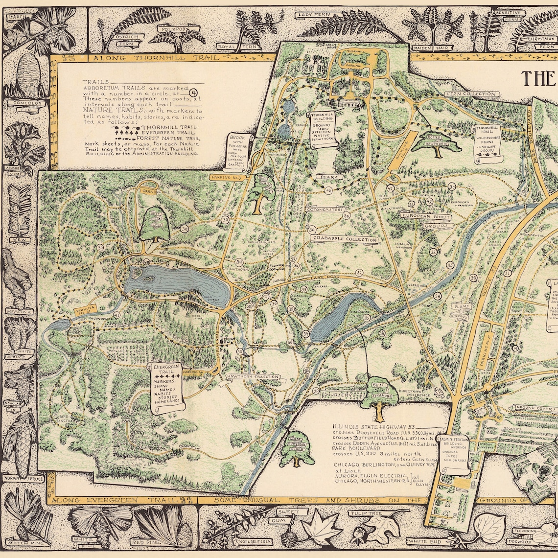 Map of the Morton Arboretum Illinois Maps for Wall Decor - Etsy