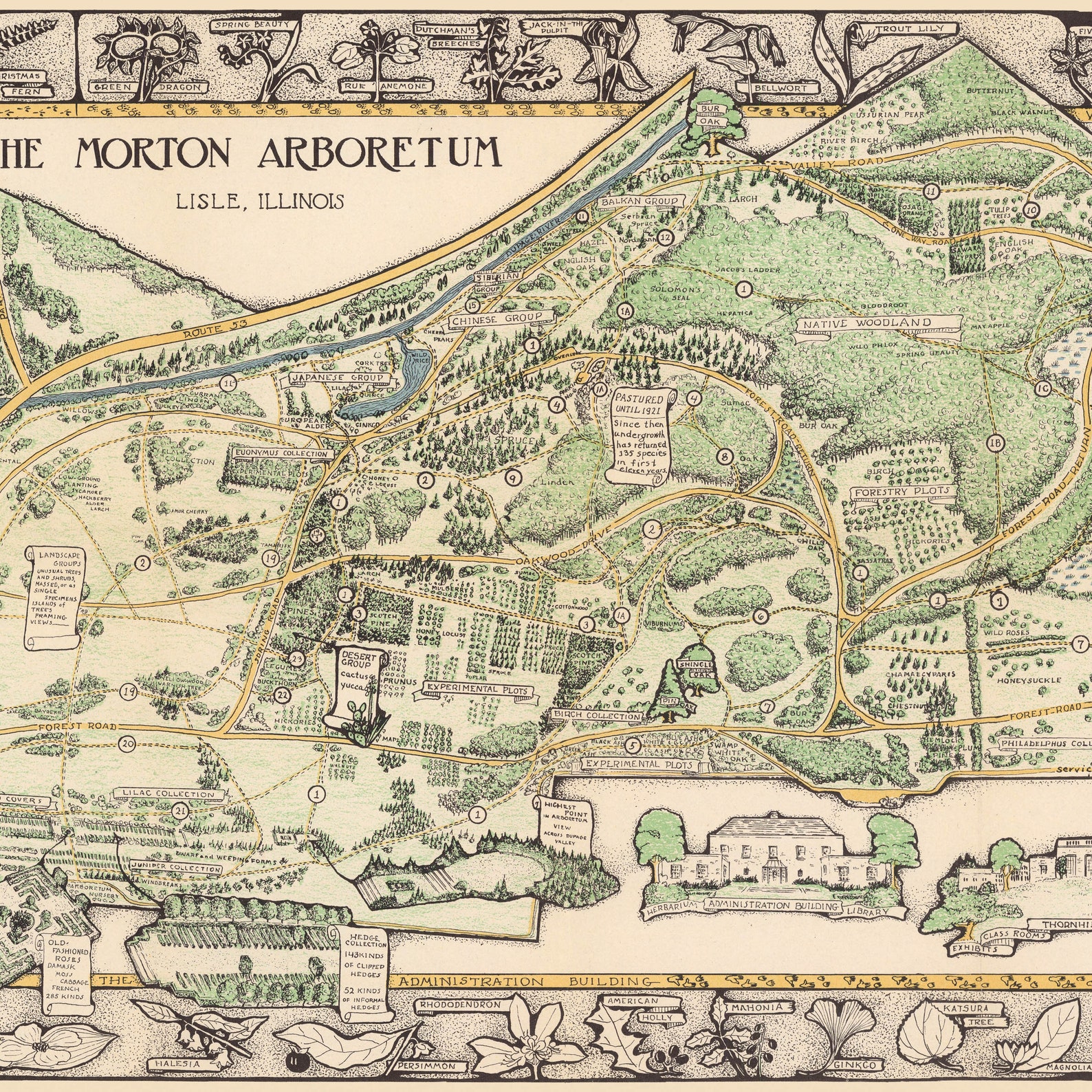 Map of the Morton Arboretum Illinois Maps for Wall Decor - Etsy