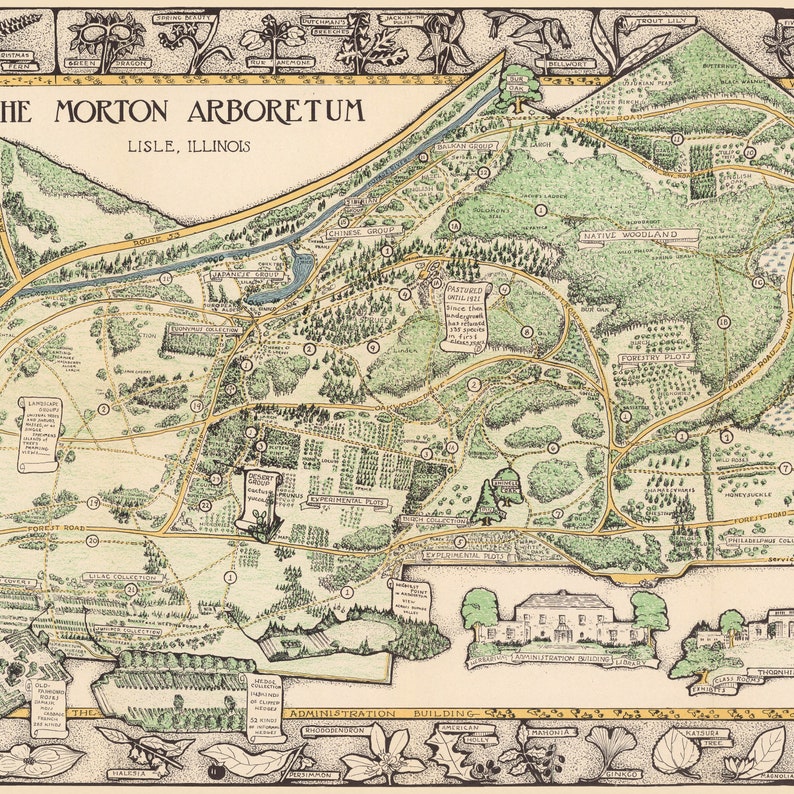 Map of The Morton Arboretum illinois Maps for Wall Decor | Etsy