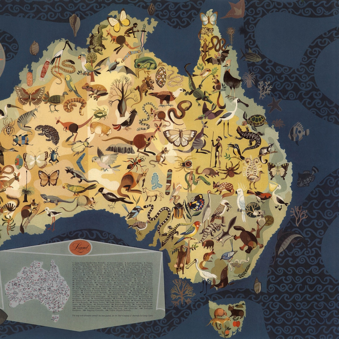 Animals of Australia Map Print for Wall Decor Australia Map | Etsy