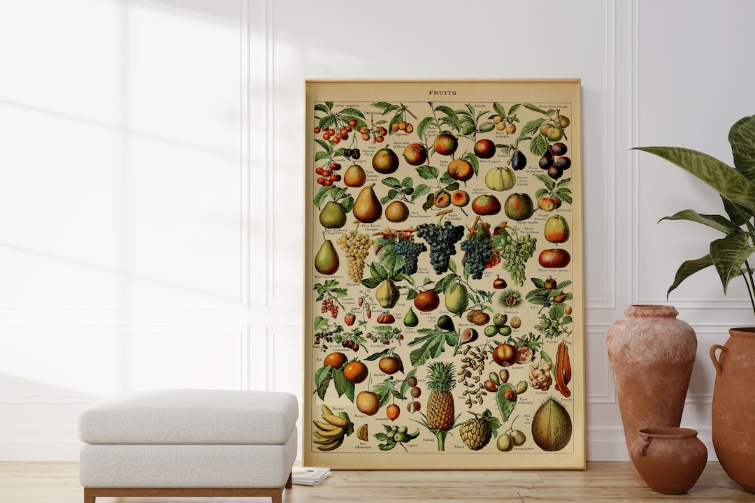 Vintage Fruits Chart Poster: Botanical Biology Wall Art - Etsy