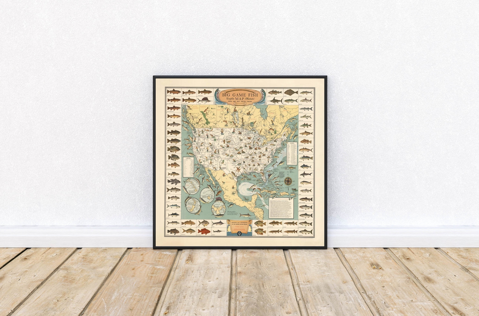 Fishes of North America Fishes Poster Fish Chart Poster Fish Chart Map ...