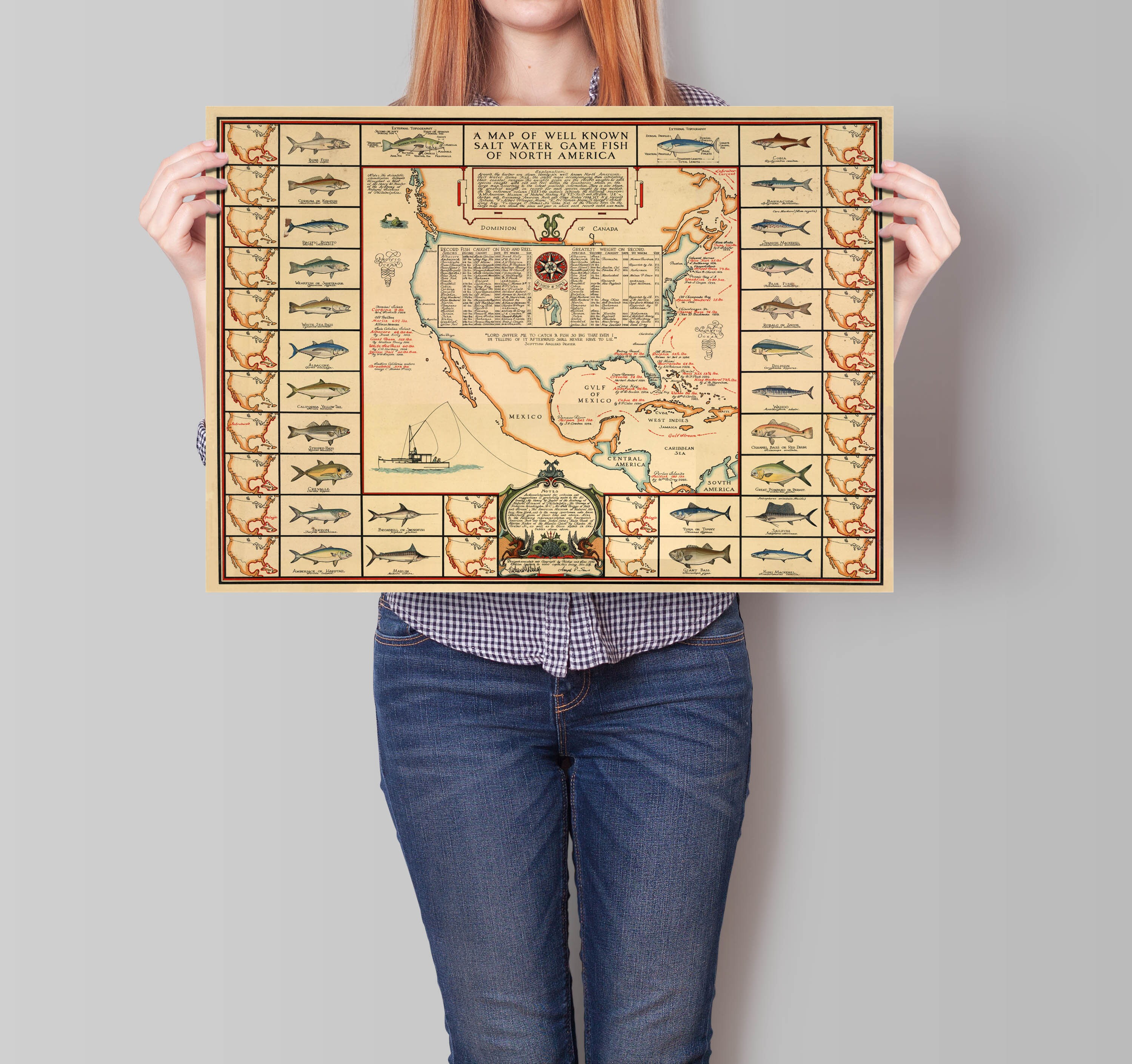 Fishes of North America Fishes Poster Fish Chart Poster - Etsy