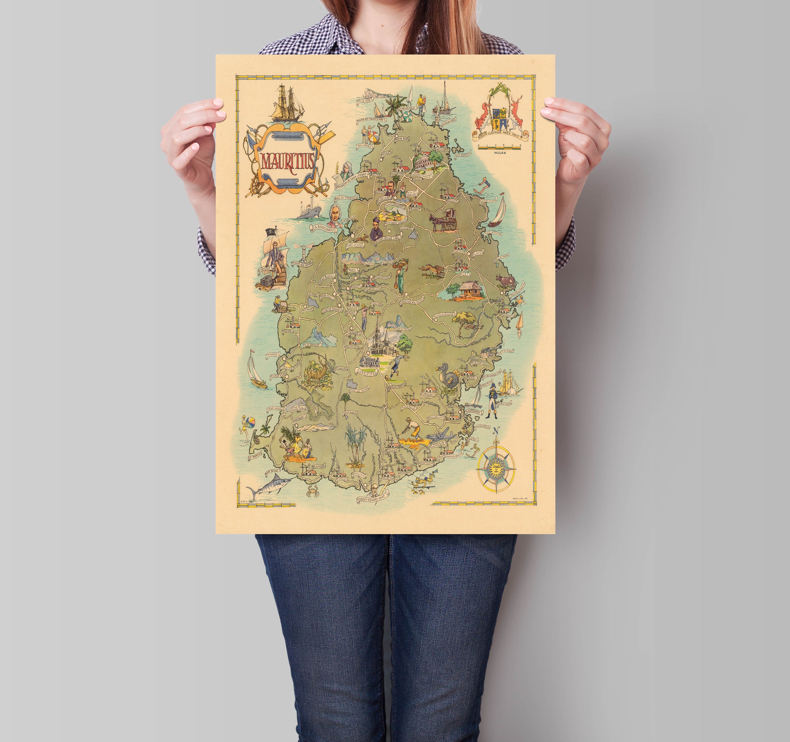 Historical Map of Mauritius Maps of Africa Poster Print | Etsy