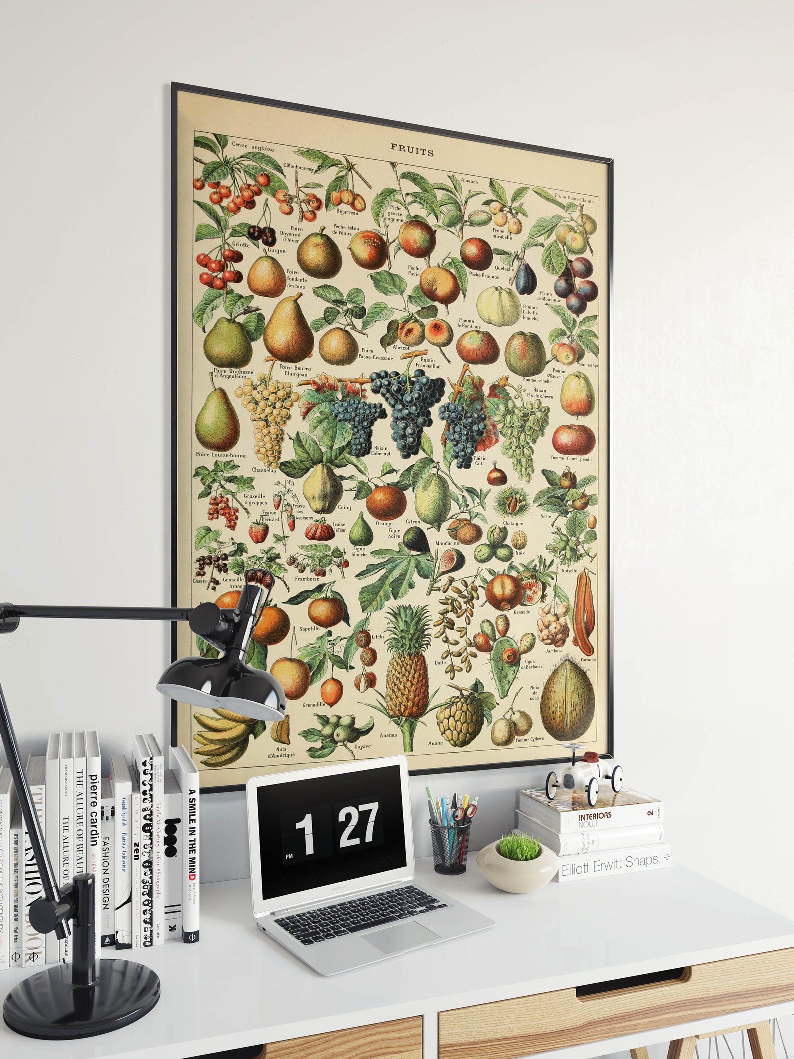 Fruits Chart Fruits Diagram Fruits Chart Poster Biology | Etsy