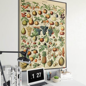 Fruits Chart| Fruits Diagram| Fruits Chart Poster| Biology Wall Art ...