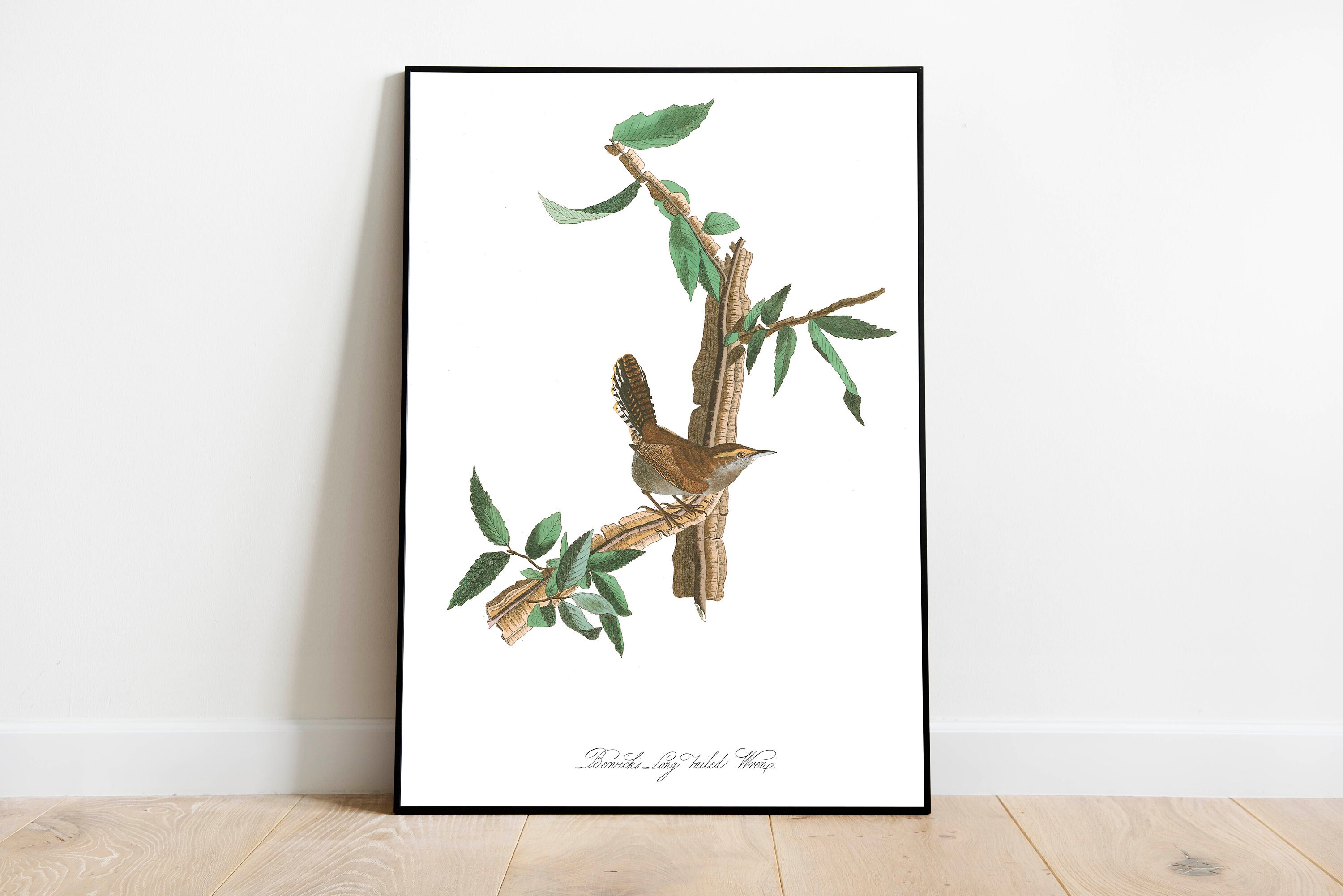 Vintage Bird Art Prints Bird Poster Framed Print Bird Art - Etsy