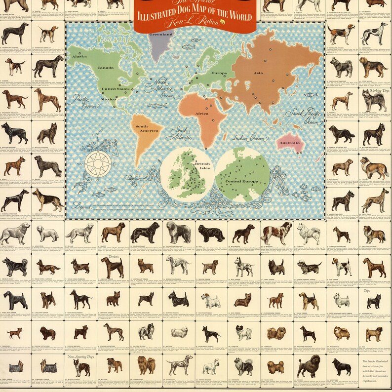 Dog Map of the World Dog Chart Poster Dog Lover Gift Dog | Etsy