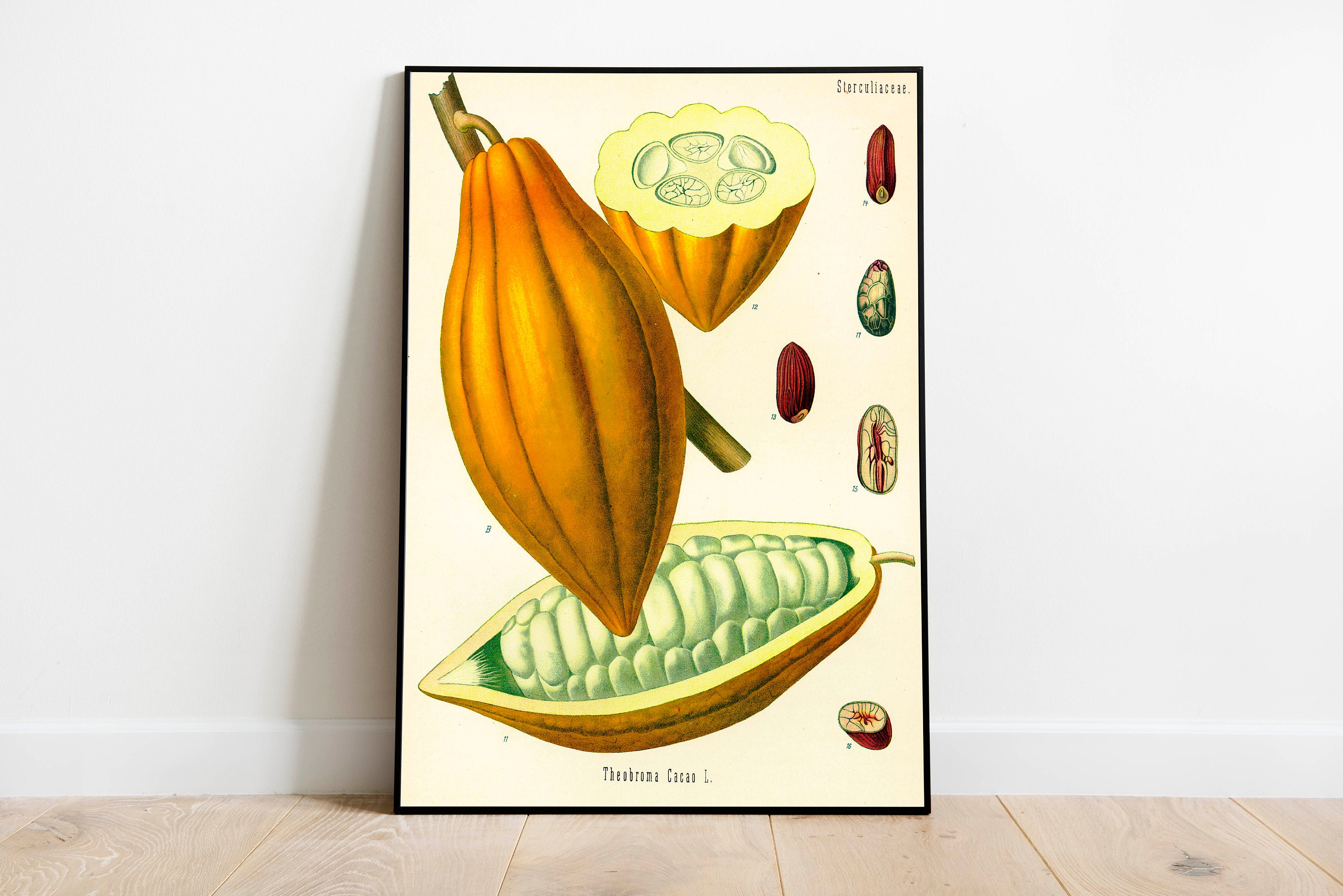 Cacao Wall Print Botanical Wall Art Art Canvas Poster - Etsy UK