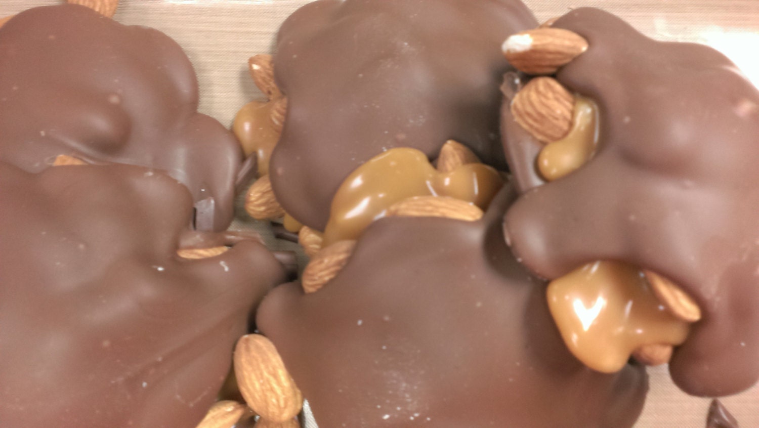 Jumbo Almond Turtle - Etsy