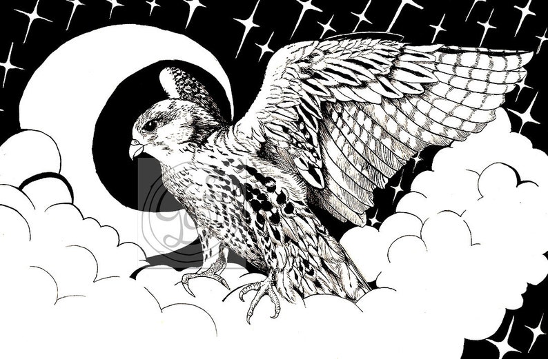 Printable Saker Falcon Coloring Page - Etsy