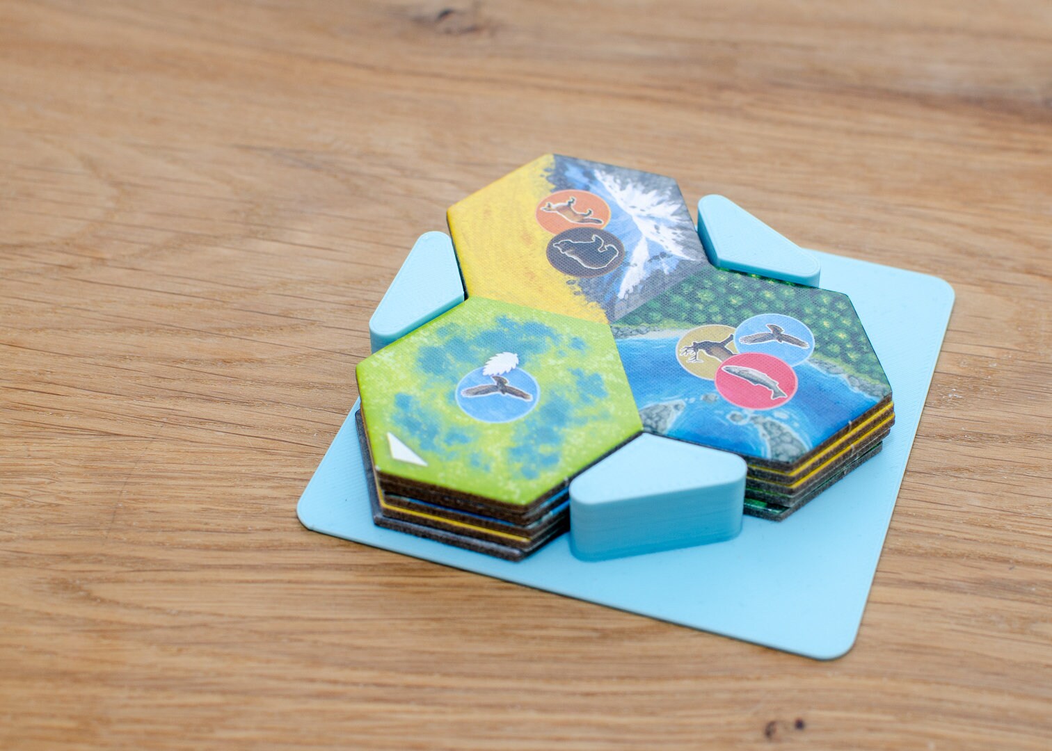 Cascadia Board Game Organizer - Etsy