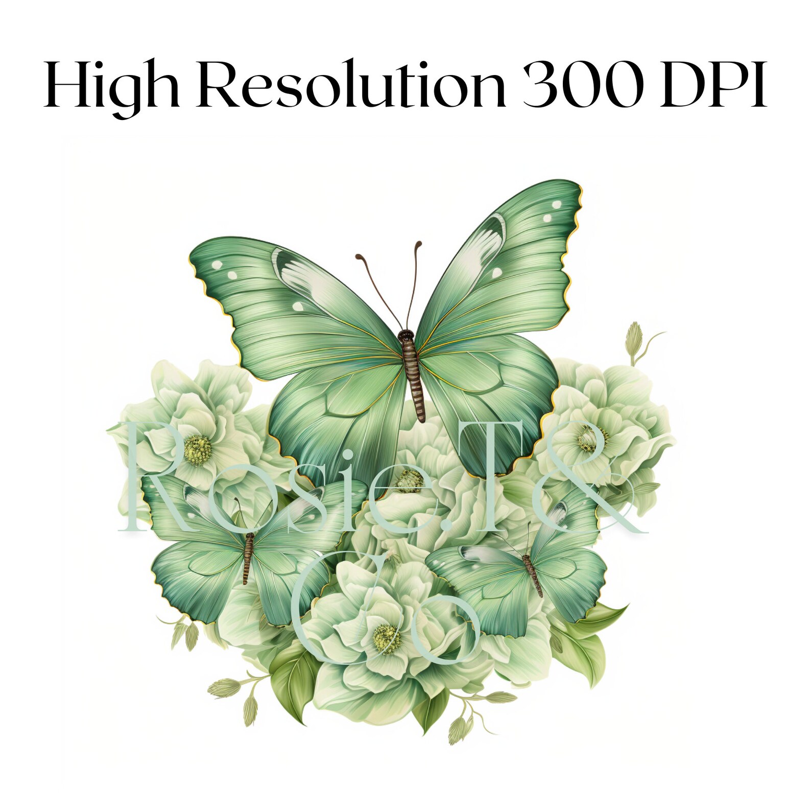 Mint Green Butterflies Clipart, Transparent PNG Illustration ...