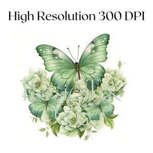 Mint Green Butterflies Clipart, Transparent PNG Illustration ...