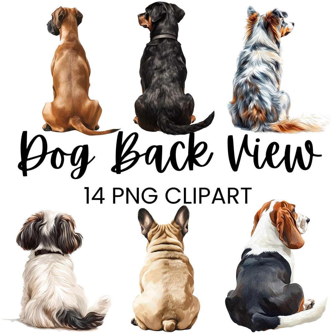 Dog Clipart From Back View, PNG Illustrations for Unique Crafts ...