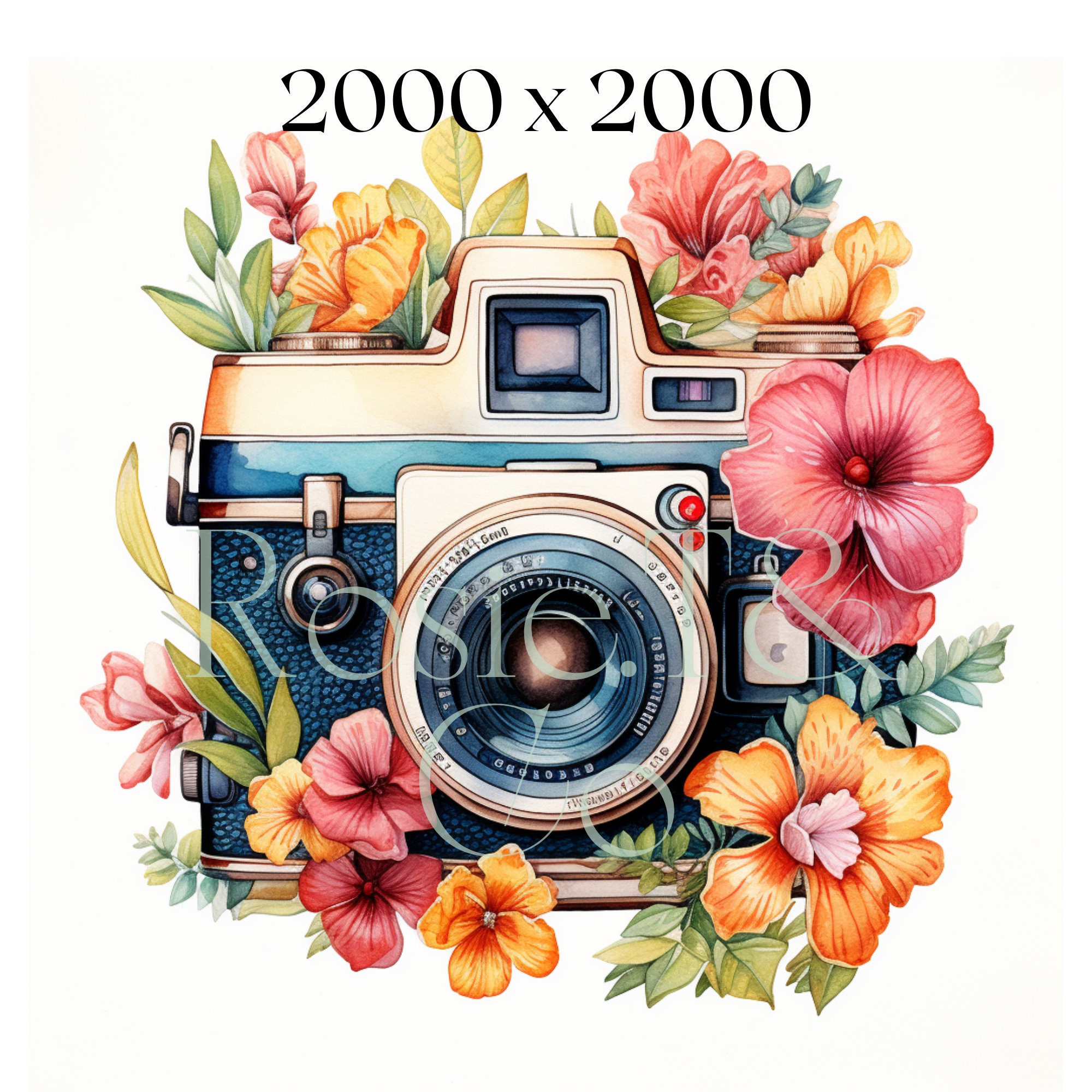 Vintage Cameras Clipart, Floral Cameras Clip Art, PNG Images ...