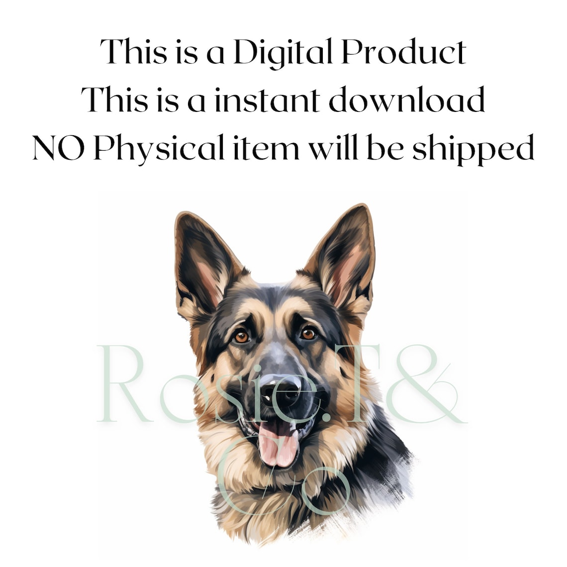 Dog Breeds Clipart, Dog Breeds Clip Art Bundle, Pet Puppy Dog, Dog PNG ...