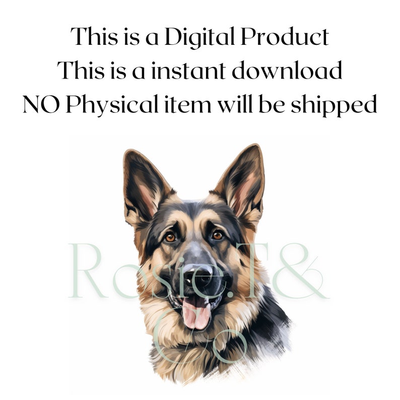 Dog Breeds Clipart, Dog Breeds Clip Art Bundle, Pet Dog Clipart, Dog ...