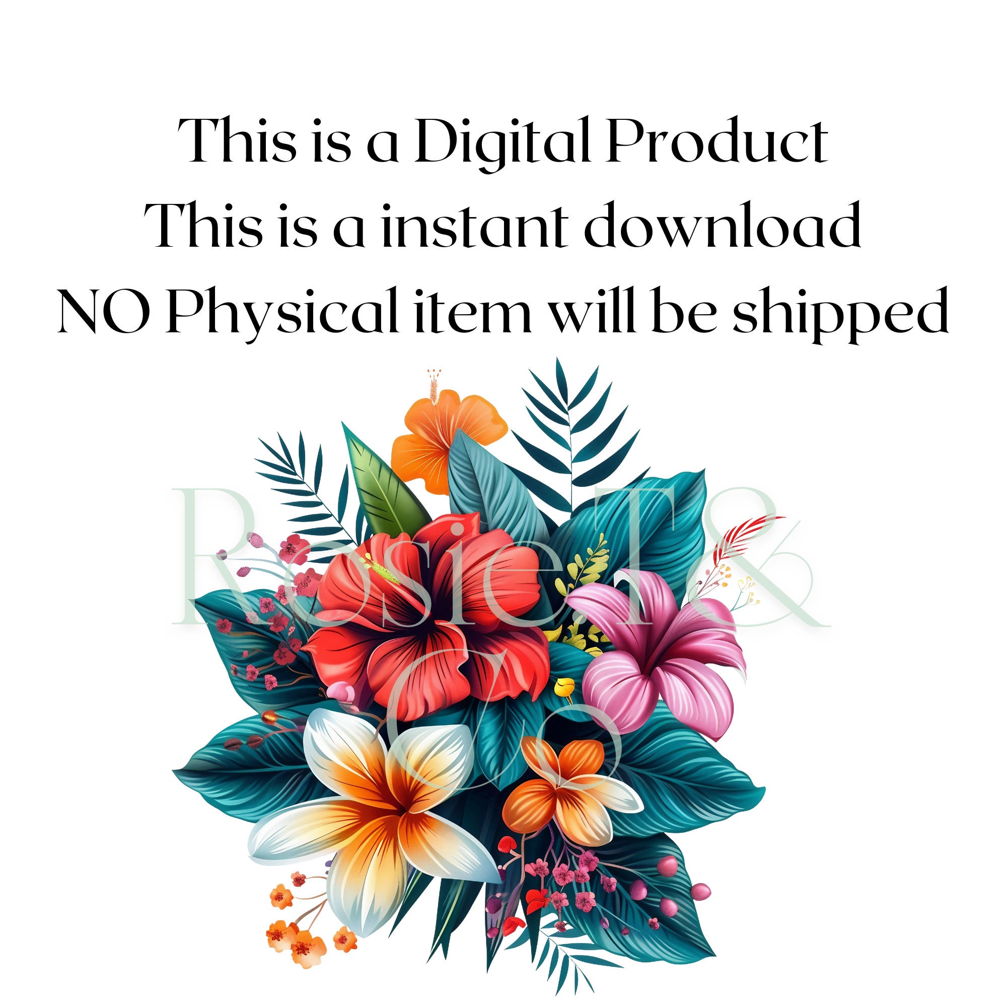 Bold Floral Clipart, Watercolor Clipart, Bright Spring Flowers Clip Art ...