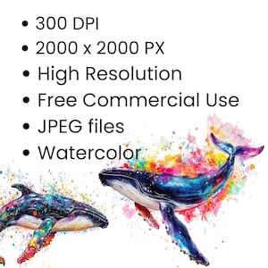 Humpback Whale Clipart, Watercolor Ocean Art, Digital Download PNG ...