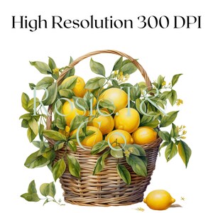 Watercolor Lemon Girls Clipart, Lemonade Stand PNG, Lemon Girl Clipart ...