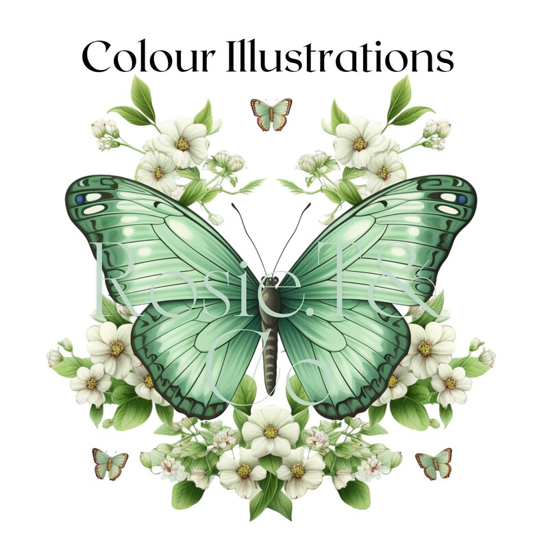 Mint Green Butterflies Clipart, Transparent PNG Illustration ...