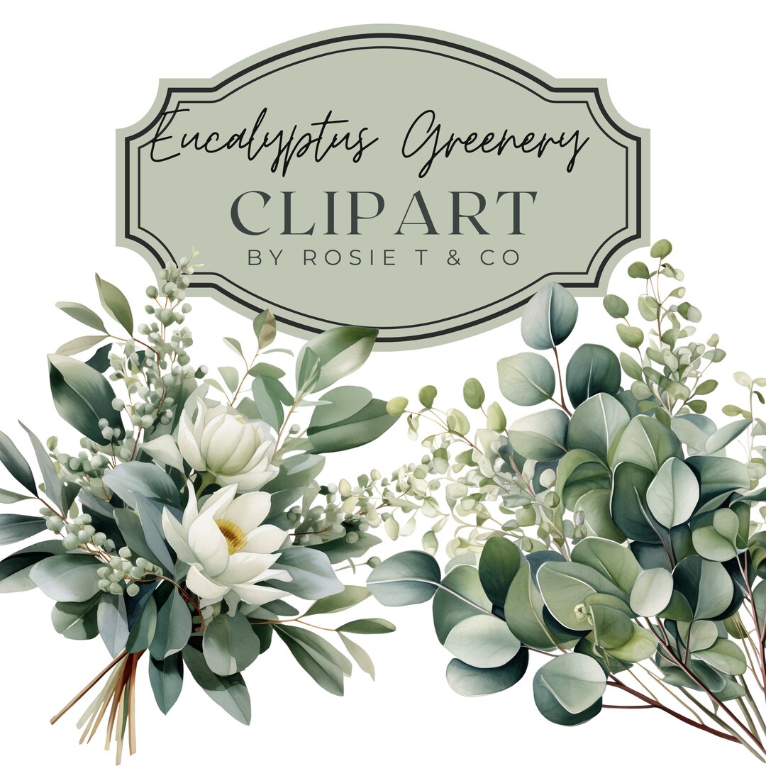 Eucalyptus Watercolor Clipart, Eucalyptus Garland, Golden Eucalyptus ...
