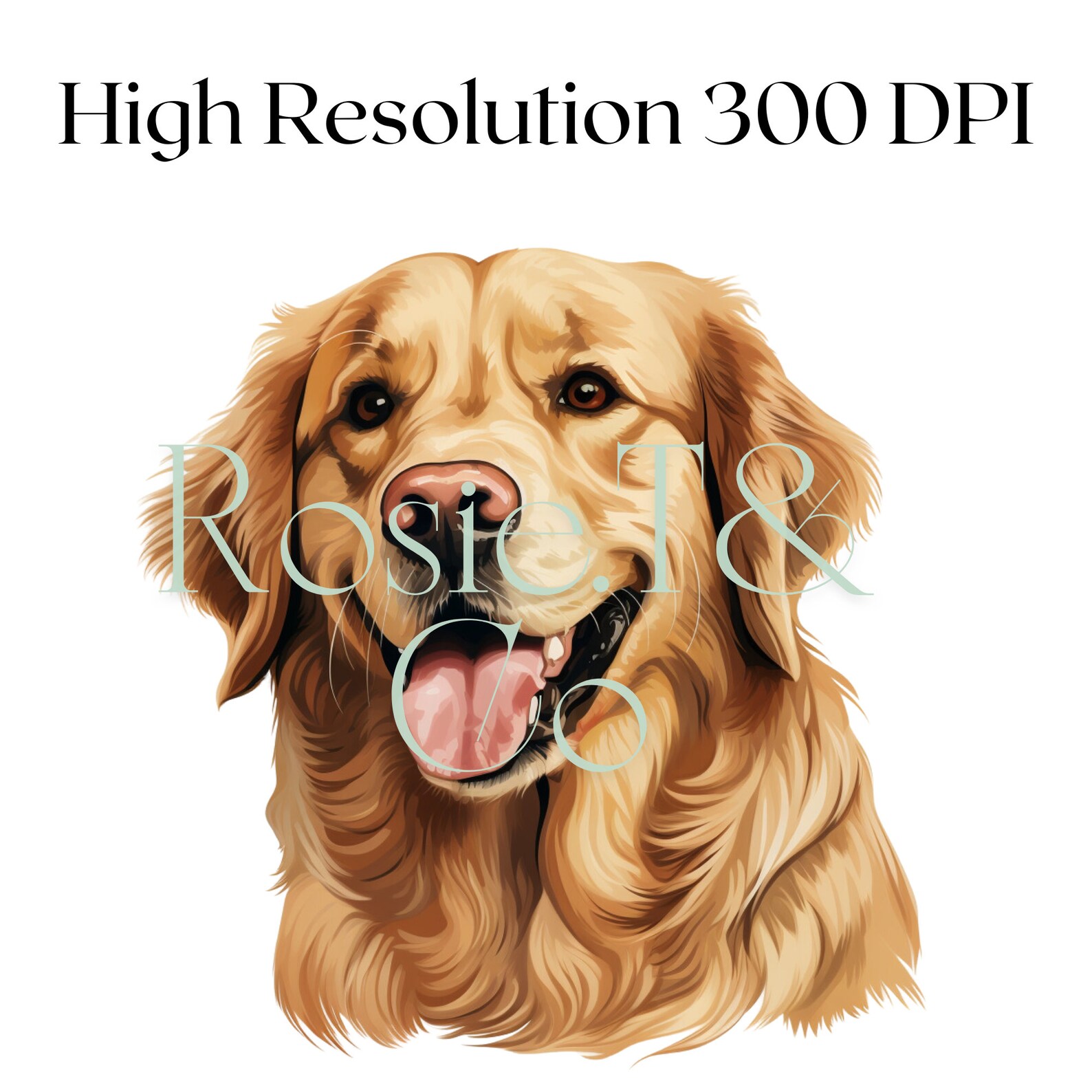 Dog Breeds Clipart, Dog Breeds Clip Art Bundle, Pet Dog Clipart, Dog ...