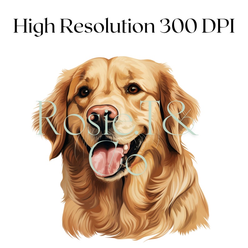 Dog Breeds Clipart, Dog Breeds Clip Art Bundle, Pet Puppy Dog, Dog PNG ...