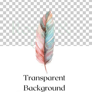 Watercolor Feather Clipart, Boho Bouquet Illustration Clip Art, PNG ...