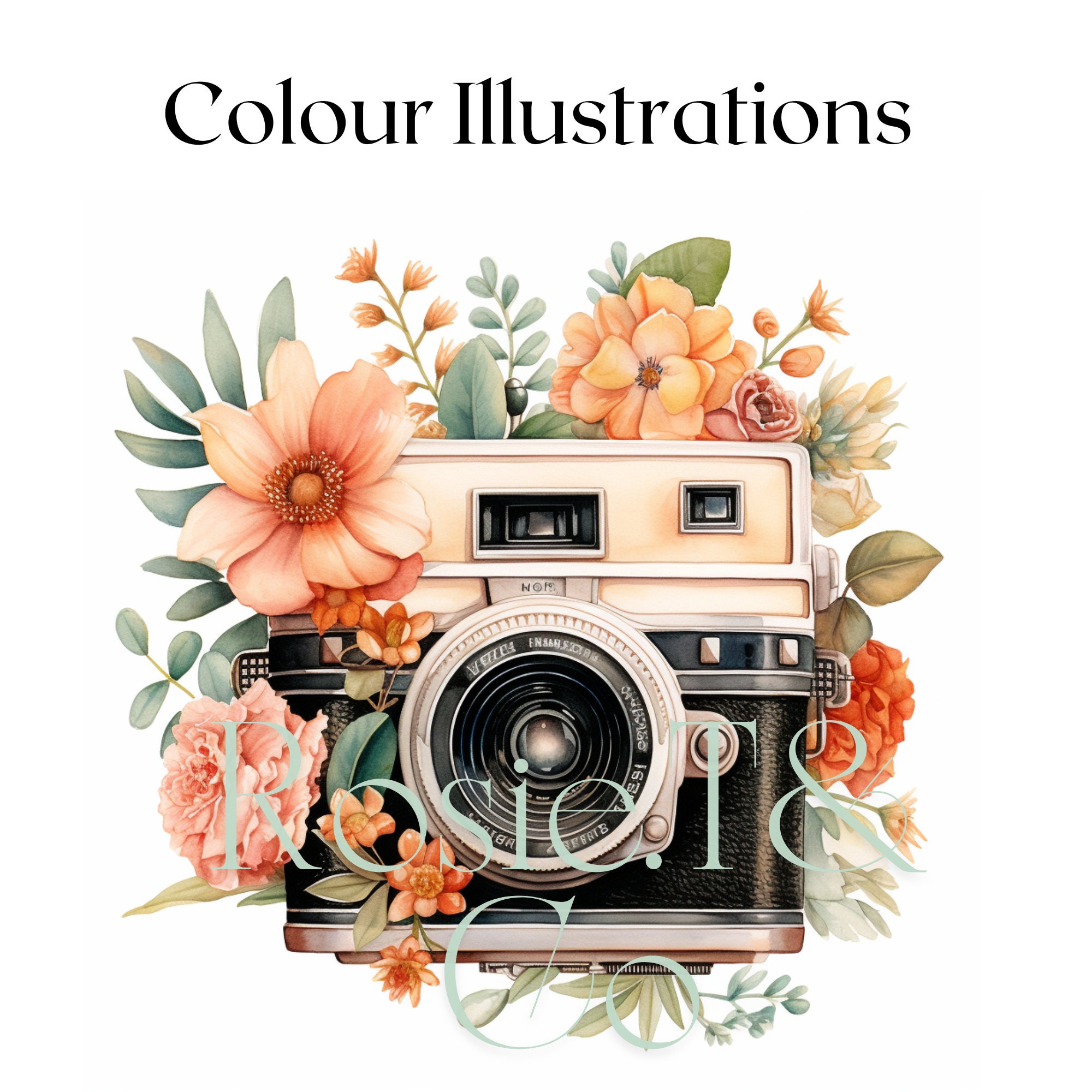 Vintage Cameras Clipart, Floral Cameras Clip Art, PNG Images ...