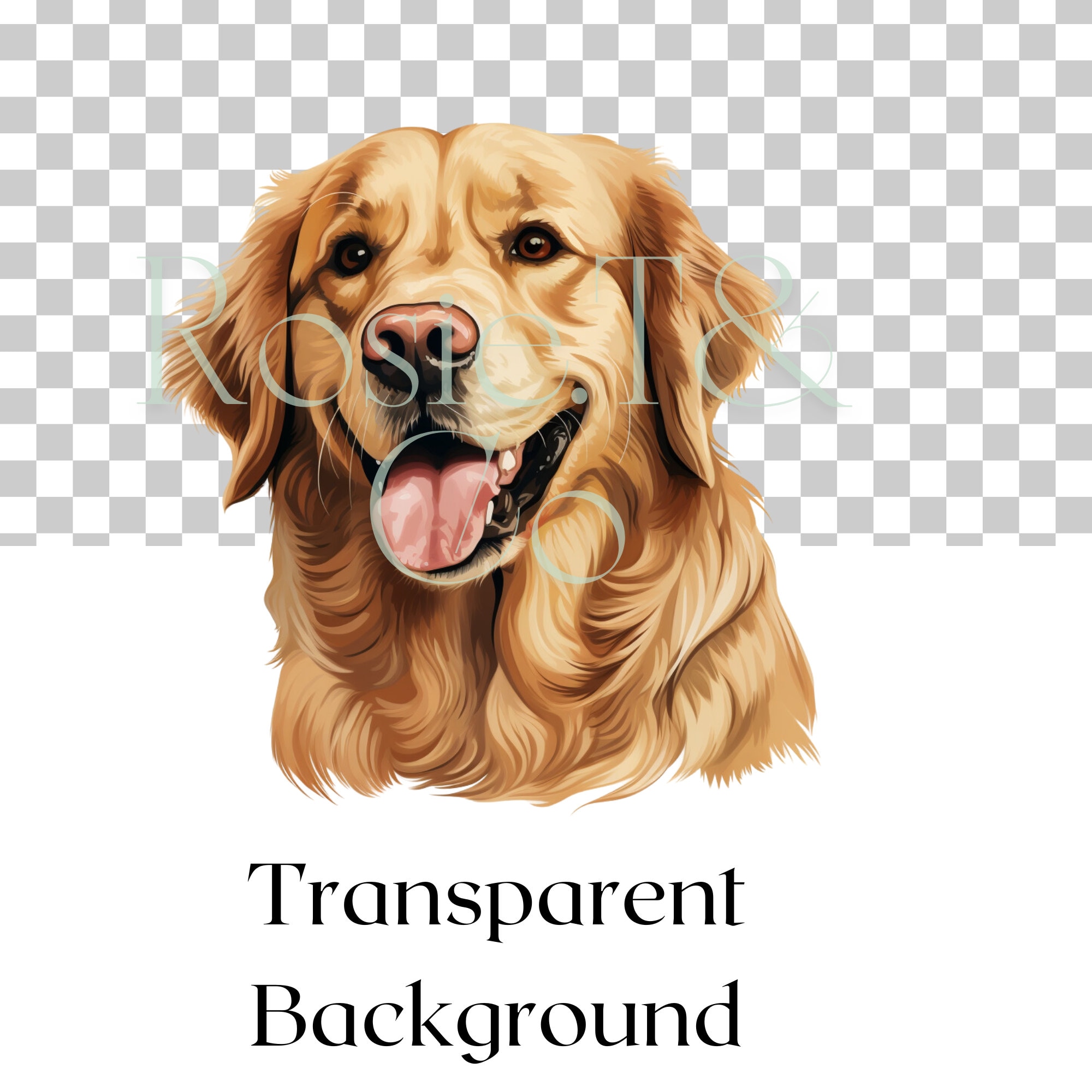 Dog Breeds Clipart, Dog Breeds Clip Art Bundle, Pet Puppy Dog, Dog PNG ...