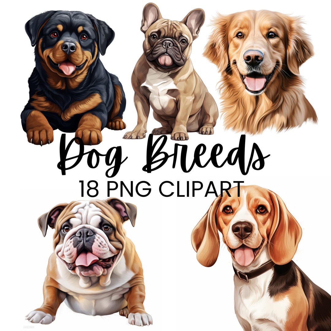 Dog Breeds Clipart, Dog Breeds Clip Art Bundle, Pet Puppy Dog, Dog PNG ...