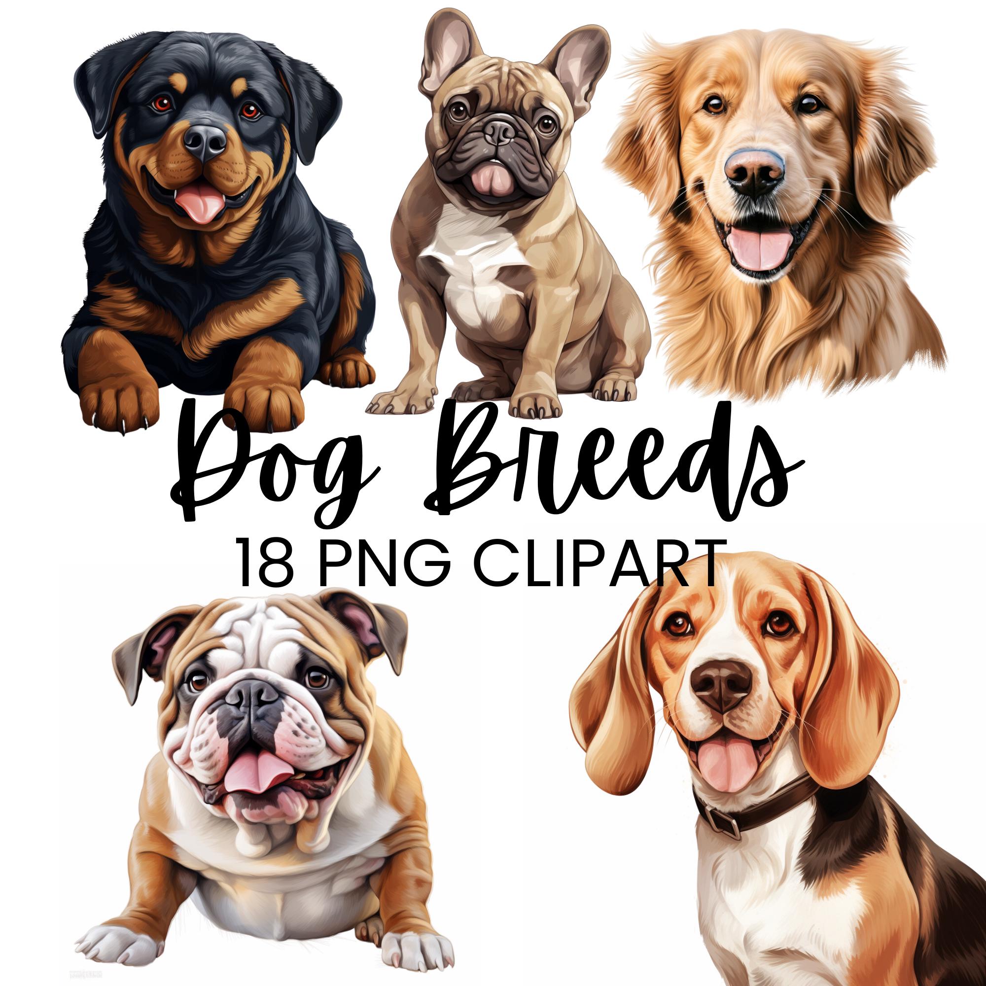 Dog Breeds Clipart, Dog Breeds Clip Art Bundle, Pet Puppy Dog, Dog PNG ...