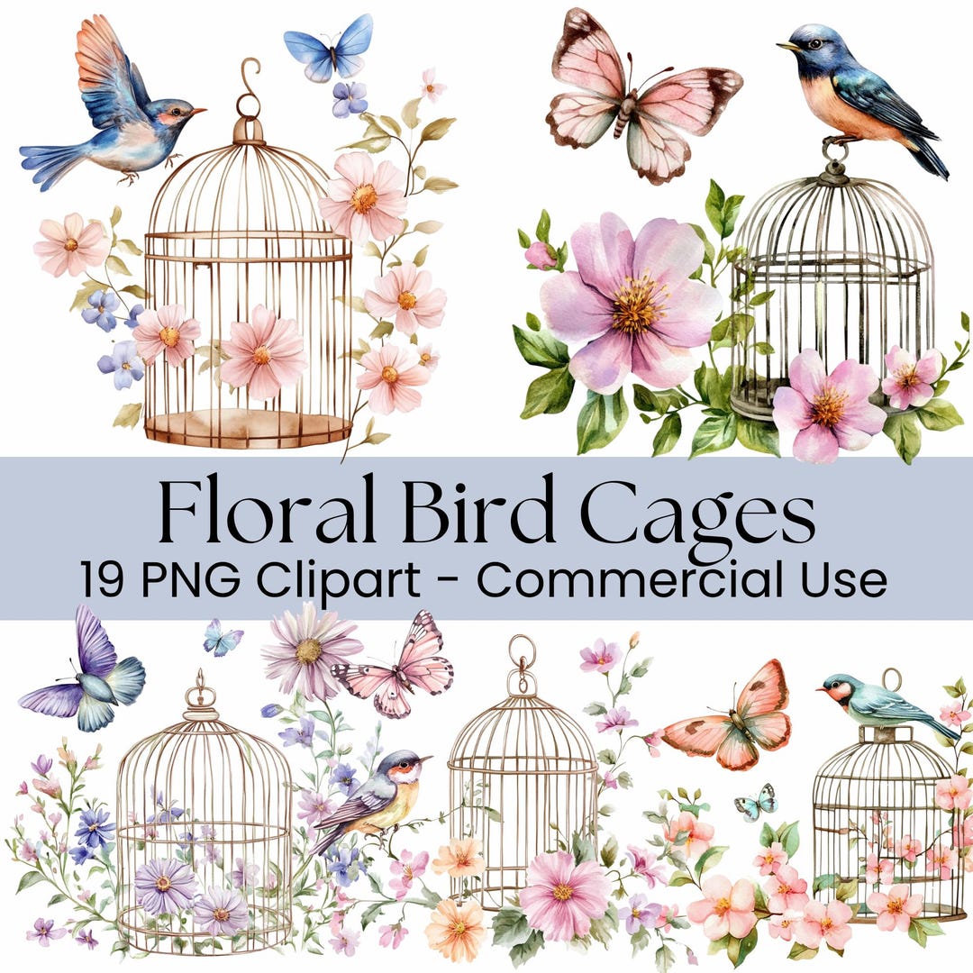 Bird Flower Cage Clipart, Vintage Watercolor Clipart, PNG Digital ...