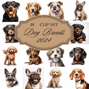 Dog Breeds Clipart, Dog Breeds Clip Art Bundle, Pet Dog Clipart, Dog ...