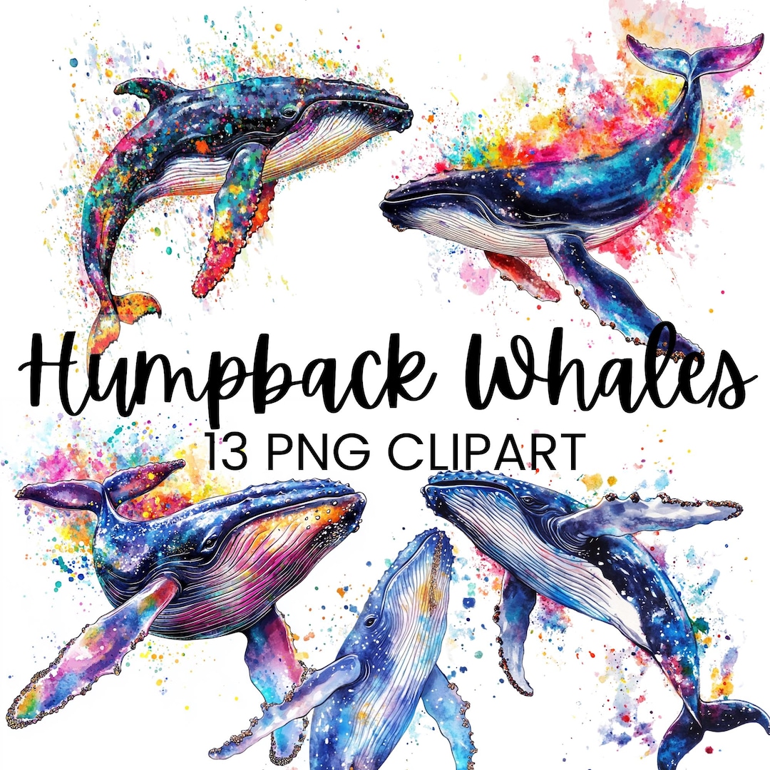 Humpback Whale Clipart, Watercolor Ocean Art, Digital Download PNG ...