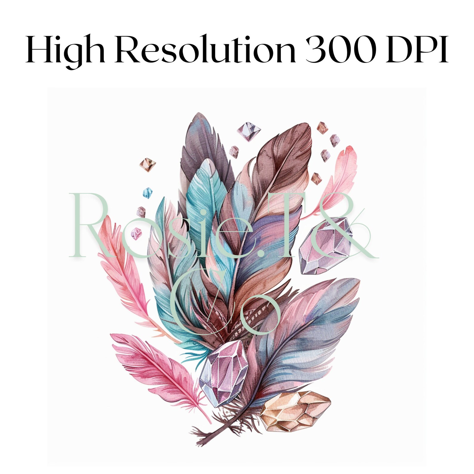 Watercolor Feather Clipart, Boho Bouquet Illustration Clip Art, PNG ...
