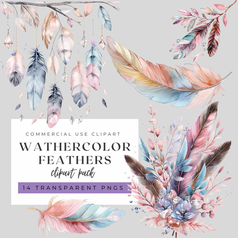 Watercolor Feather Clipart, Boho Bouquet Illustration Clip Art, PNG ...